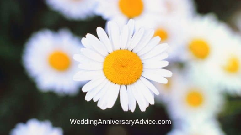 What Is The 5th Wedding Anniversary Symbol | Color | Gift?